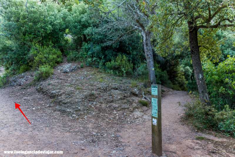 Ruta a la Roca Foradada en Montserrat - La elegancia de viajar